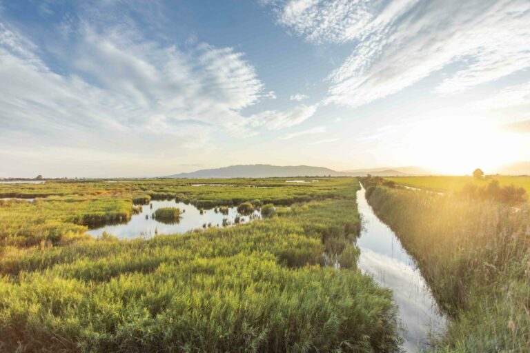 La màgia del Delta de l’Ebre: Un paradís per descobrir – Turisme a ...